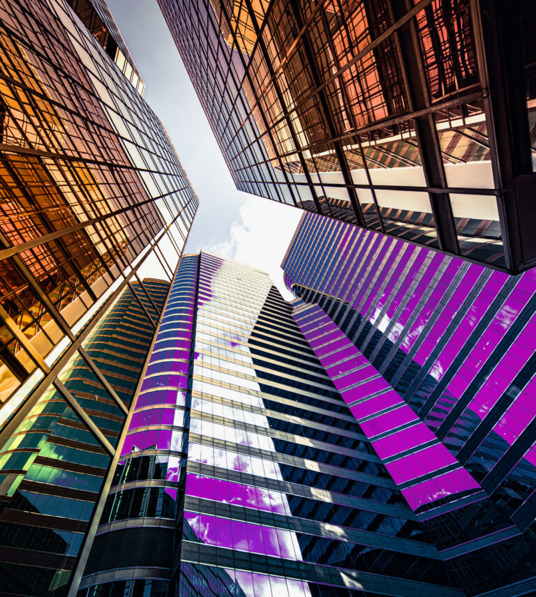 Full-Funnel Financial Performance Marketing | Amsive